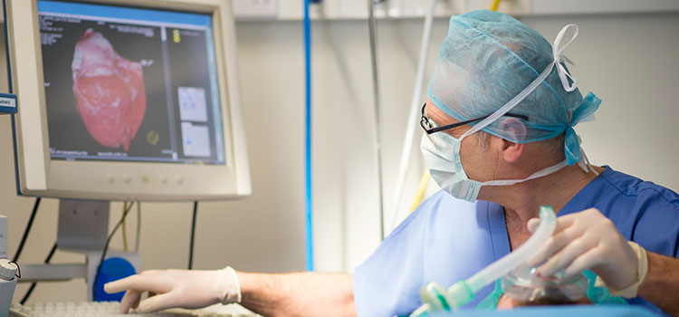 How Do You Become a Cardiac Sonographer? | All Allied Health Schools